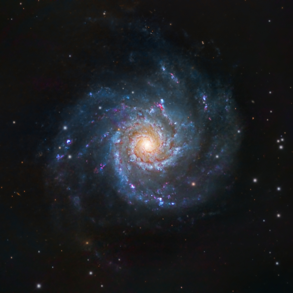 M74 | Telescope Live